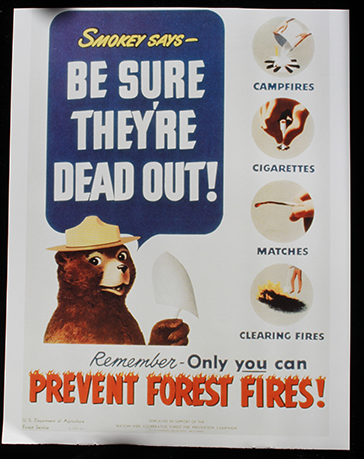 Poster "Forest fires" – Woodland Catalog