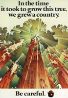 Be Careful Poster – Woodland Catalog